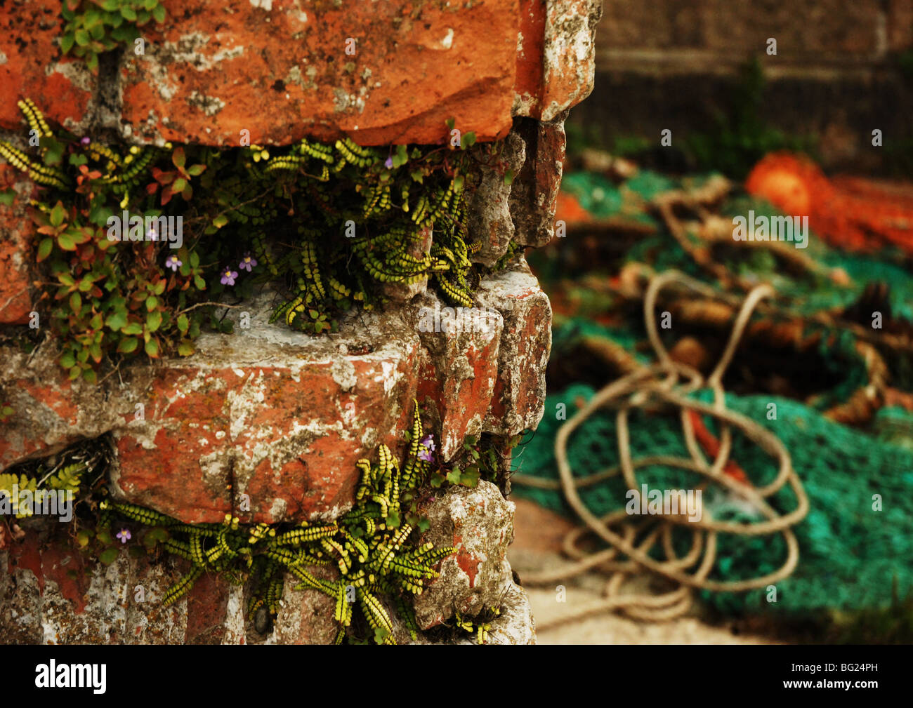 English Harbor Scene Stock Photo - Alamy