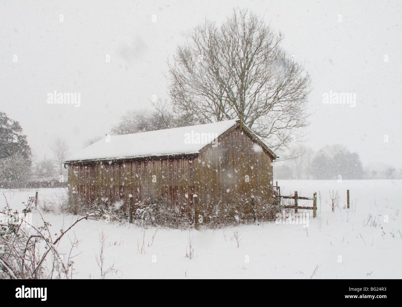 Winterslow hi-res stock photography and images - Alamy