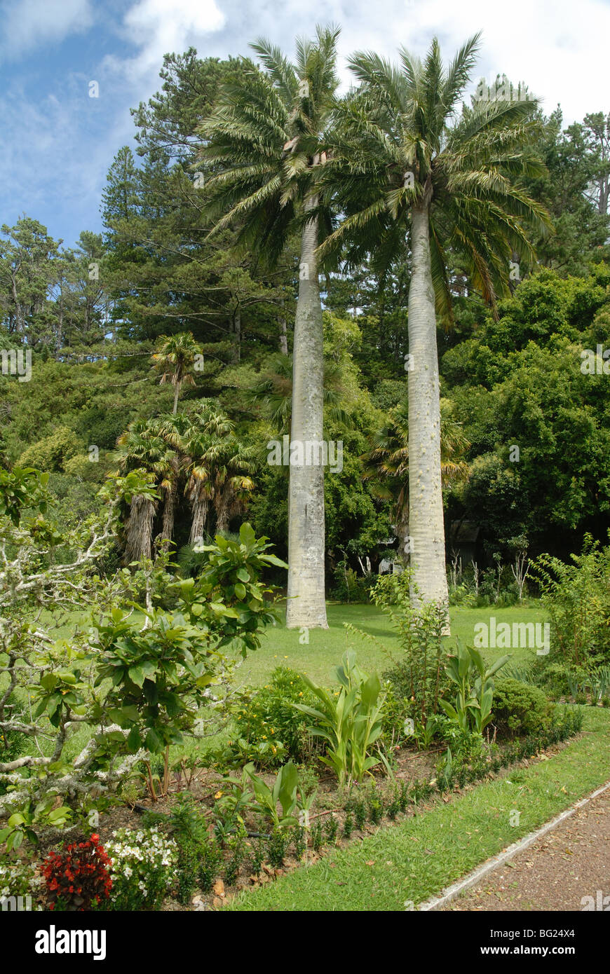 Mansion house gardens kawau island new zealand hi-res stock photography ...