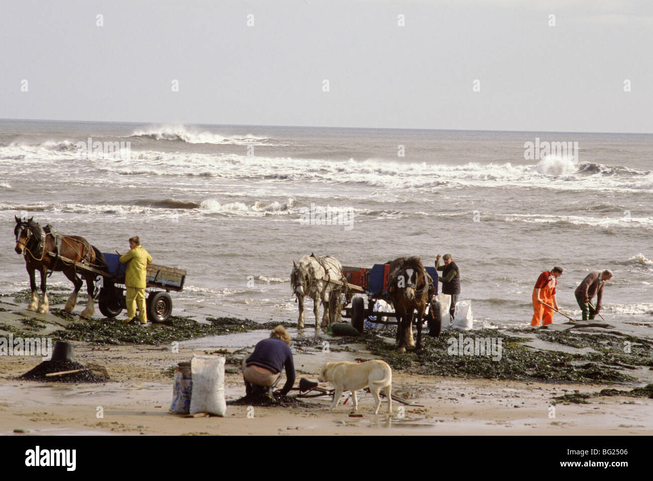 Coal seam exposed hi-res stock photography and images - Alamy