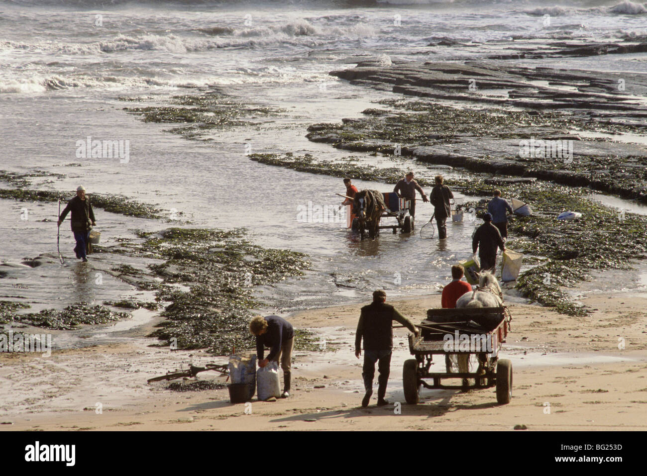 Sea-coaling at Seaham, County Durham, England, UK Coal washed ashore ...