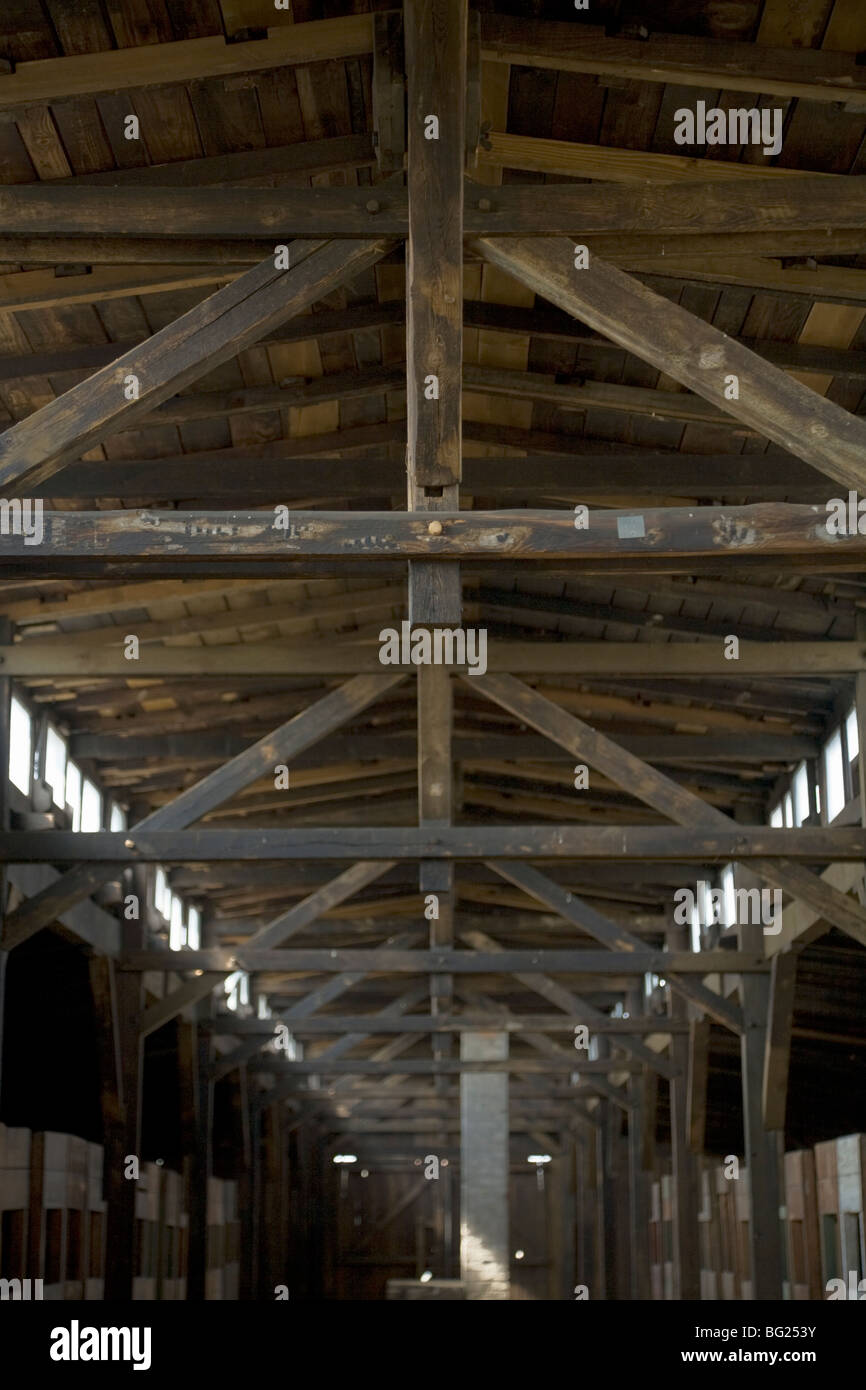 Roof with original Nazi slogans in a hut / shed of the Birkenau ...