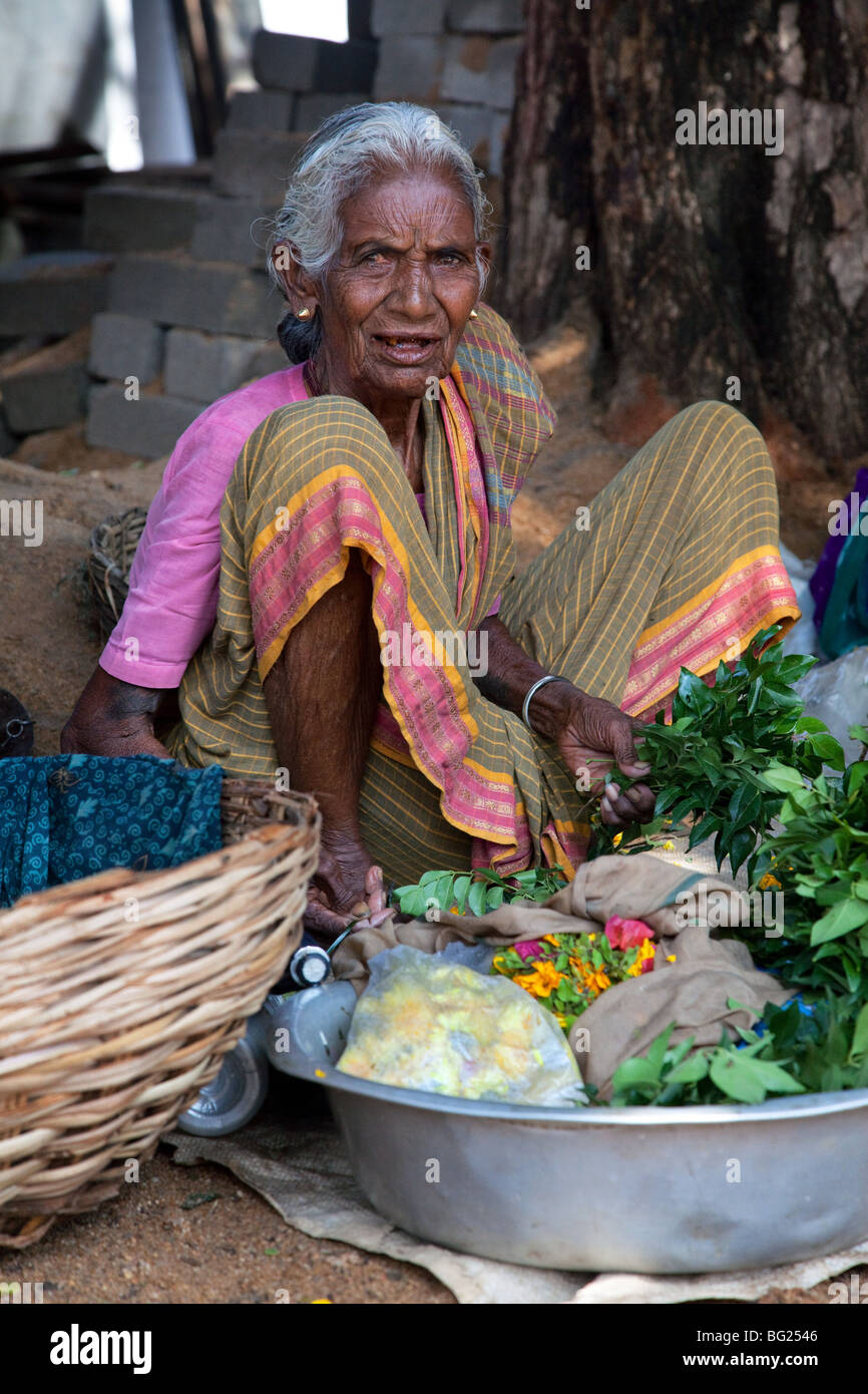 Old Woman selling Flowers at a Market, Puttaparthi, South India Stock ...