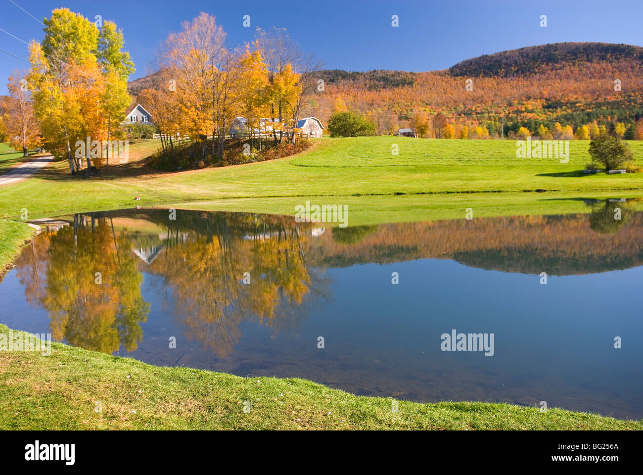 Pond on a farm in the green Mountains of Vermont USA Stock Photo - Alamy