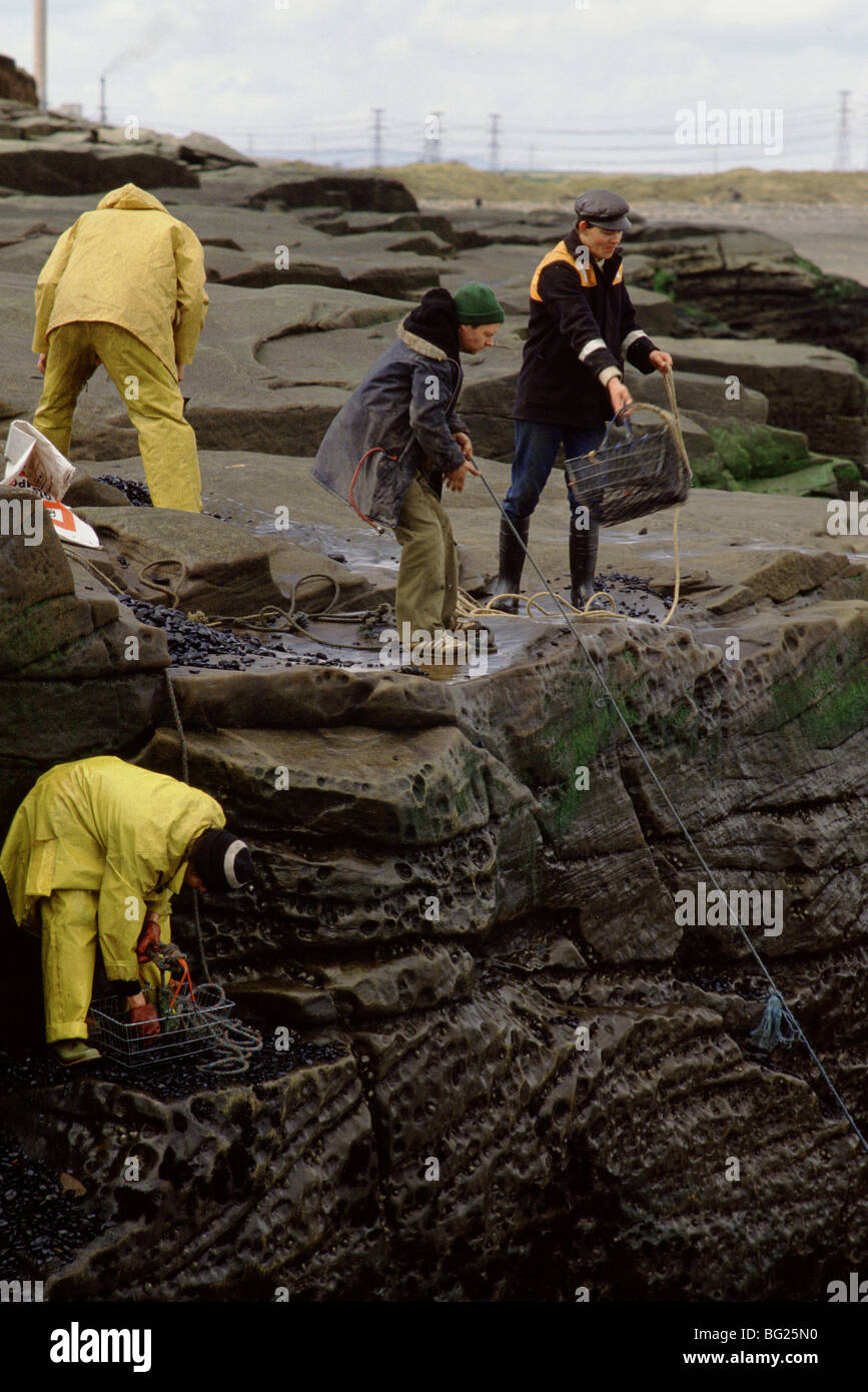 Sea-coaling at Seaham, County Durham, England, UK Coal washed ashore ...