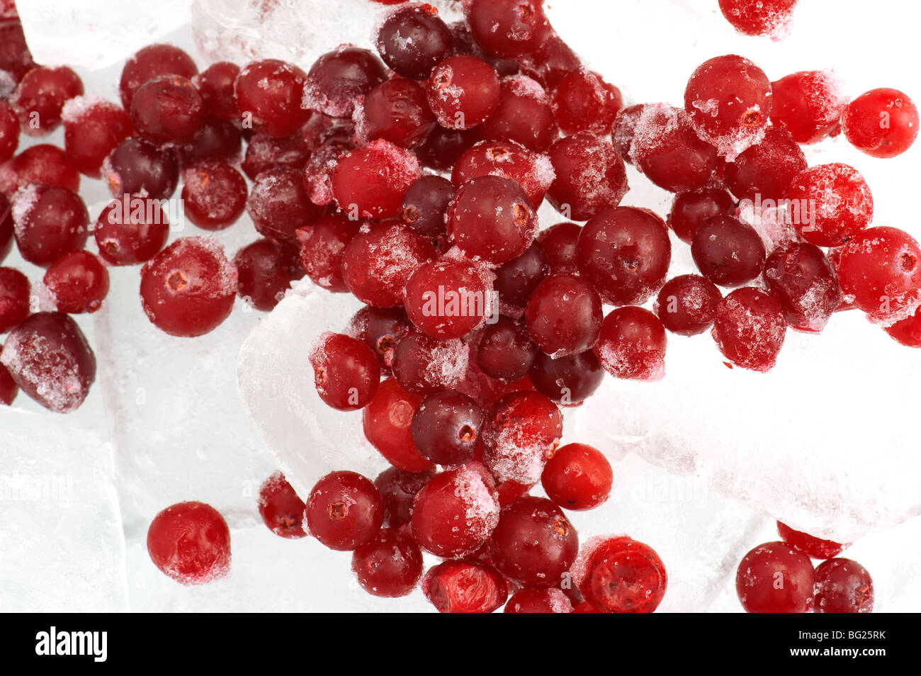 object on white - raw cranberry with ice Stock Photo - Alamy