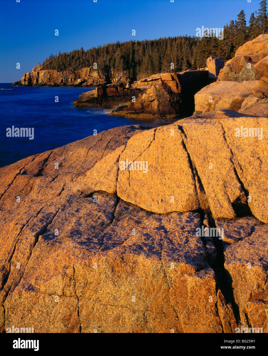 Atlantic coastline, Mount Desert Island, Acadia National Park, Maine ...