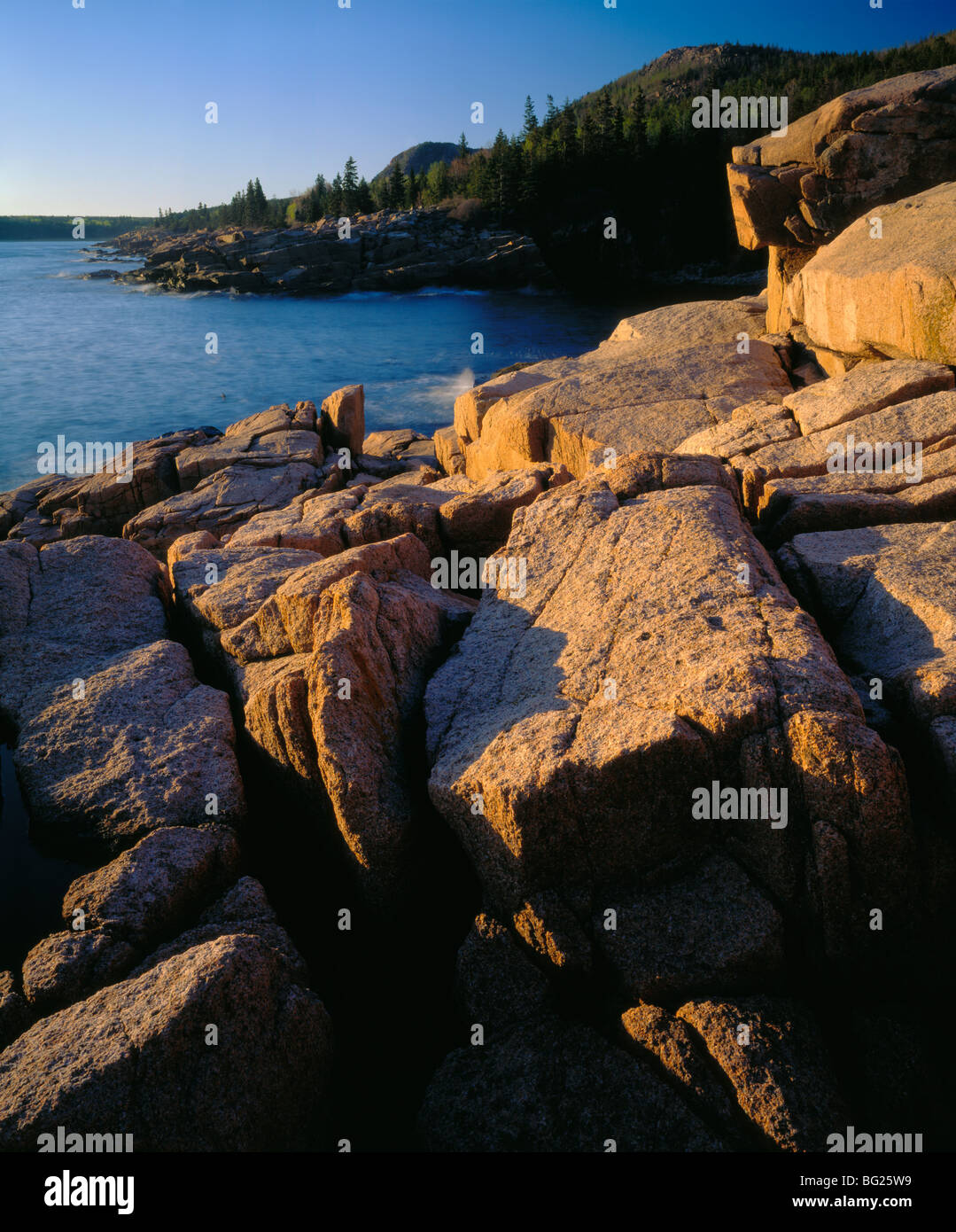 Atlantic coastline, Mount Desert Island, Acadia National Park, Maine ...