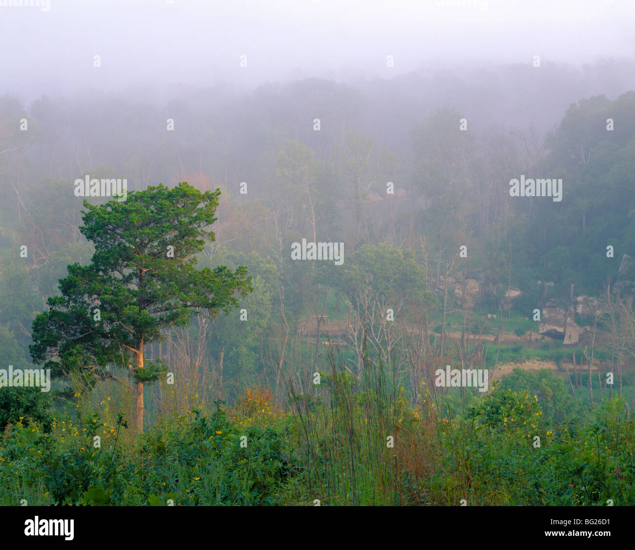 canyon from Riverbottom Overlook, Little Grand Canyon, Shawnee National ...