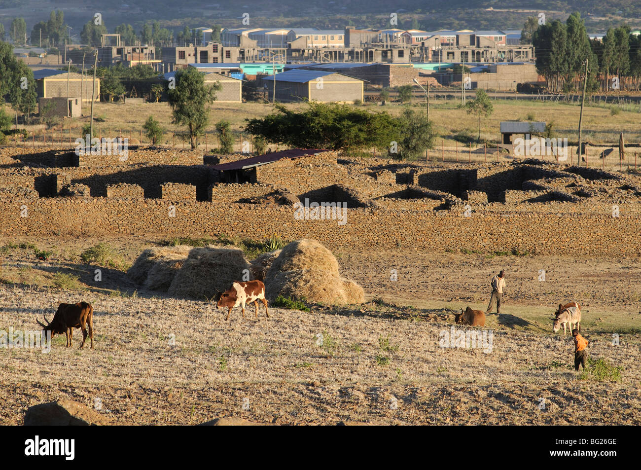Axumite palace hi-res stock photography and images - Alamy