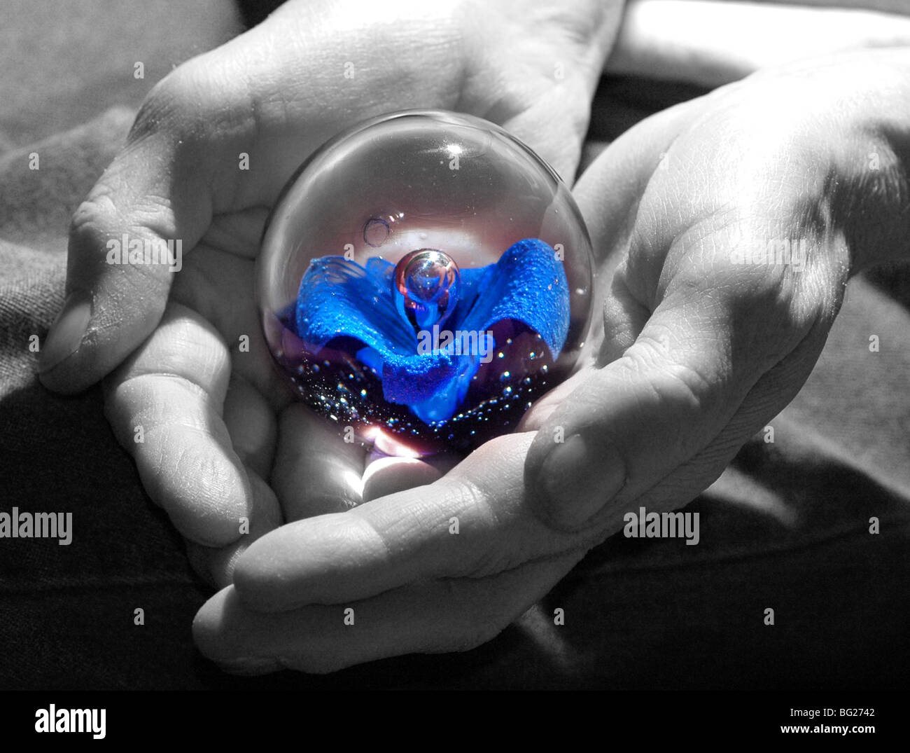 Aged hands cupped around a glass orb containing a flower Stock Photo ...