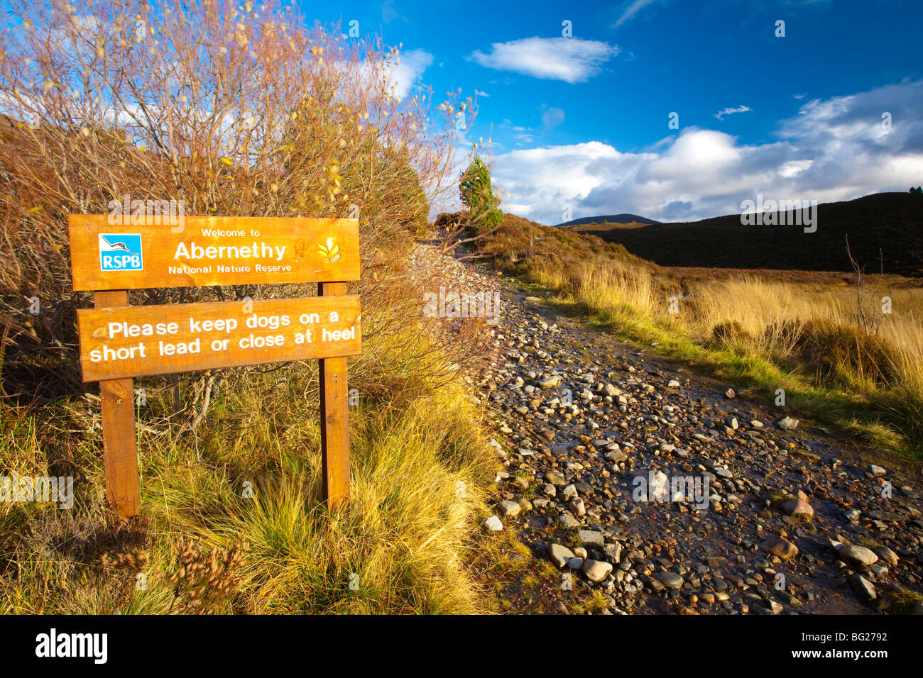 Scotland, Highlands, Cairngorms National Park. Track running from ...