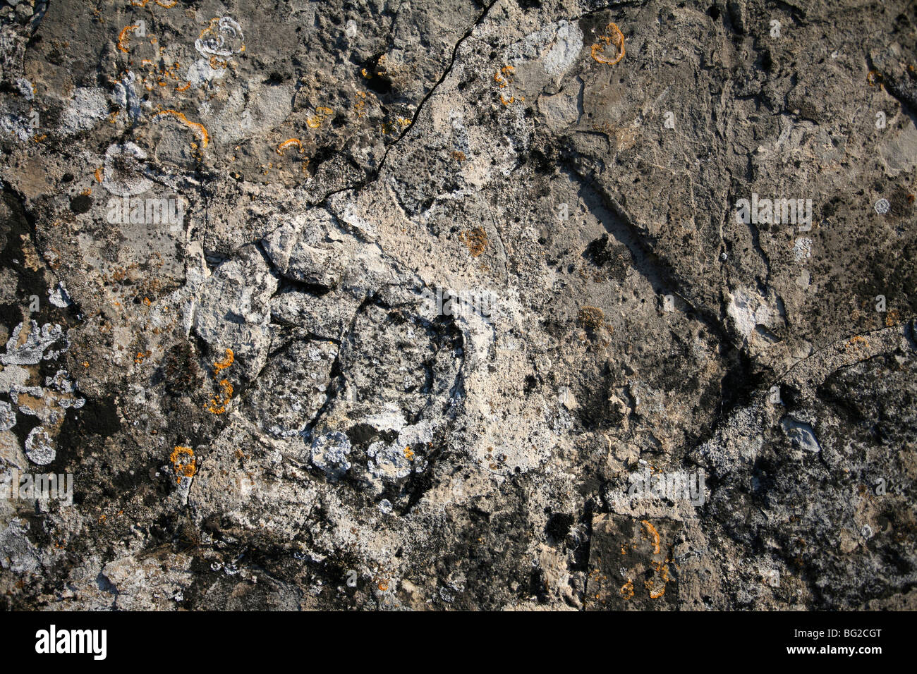 Stoney surface hi-res stock photography and images - Alamy