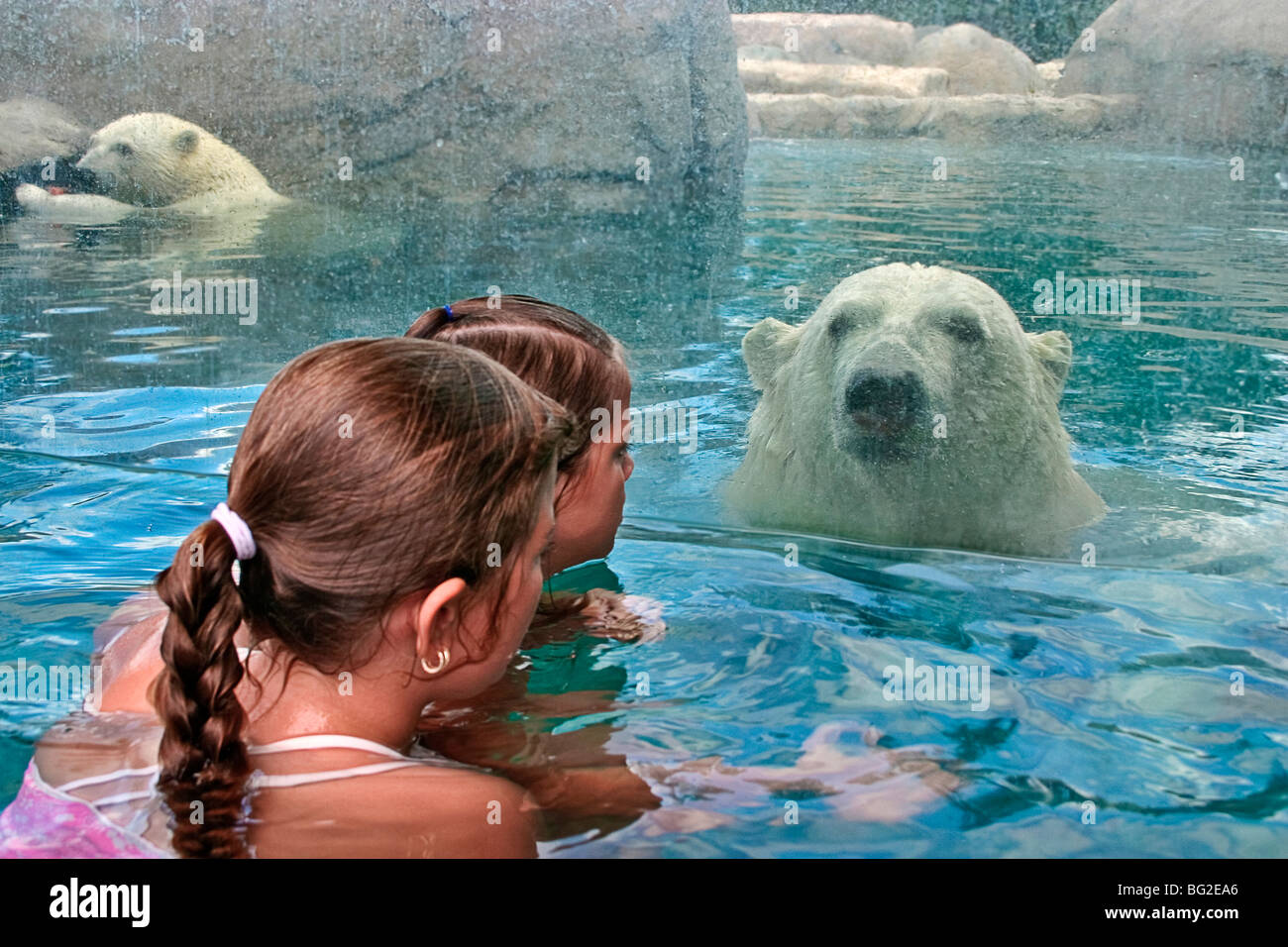 Girls in wading pool with polar bear at Cochrane Polar Bear ...