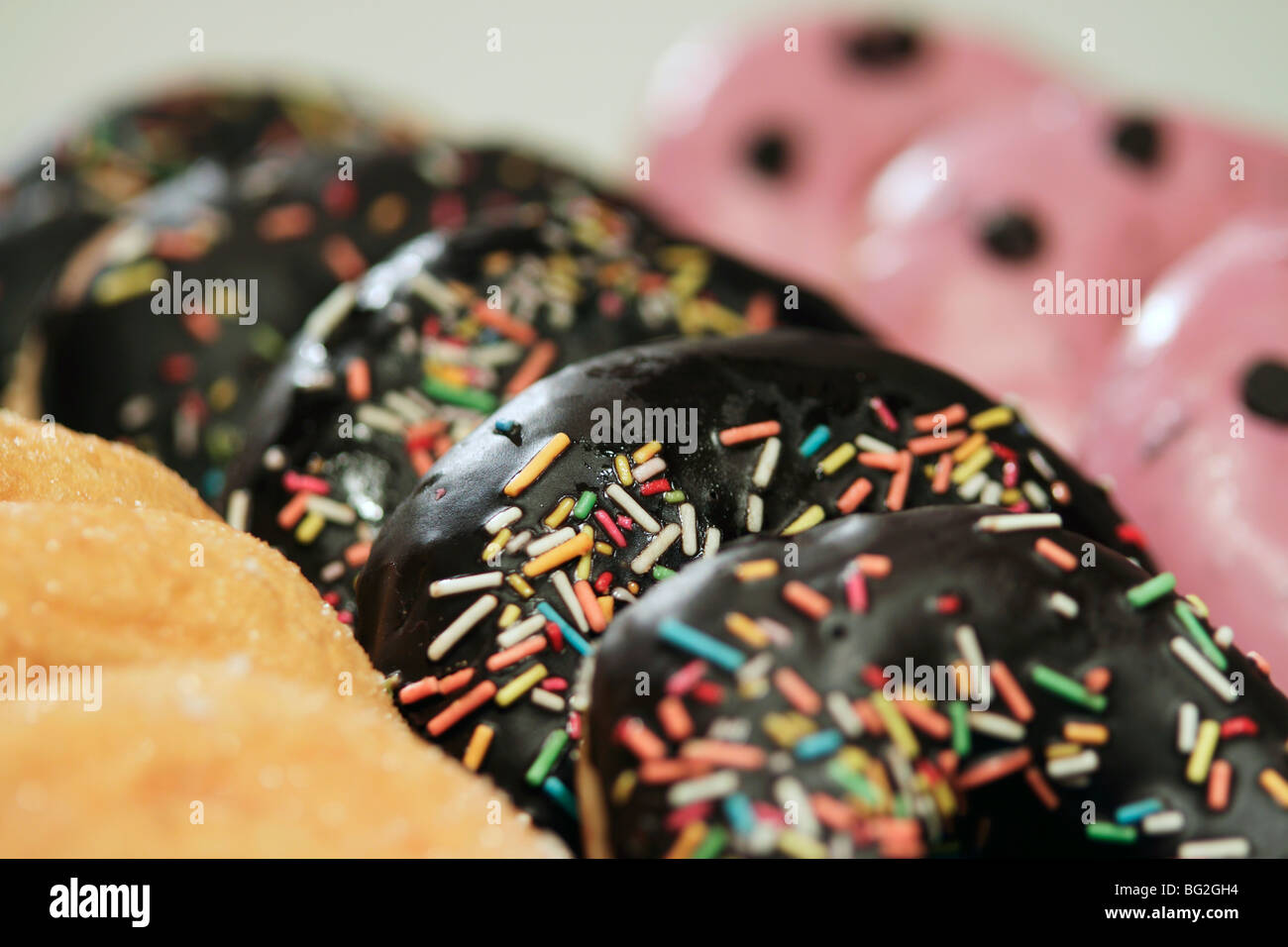 A close-up of various doughnuts arranged in rows Stock Photo - Alamy