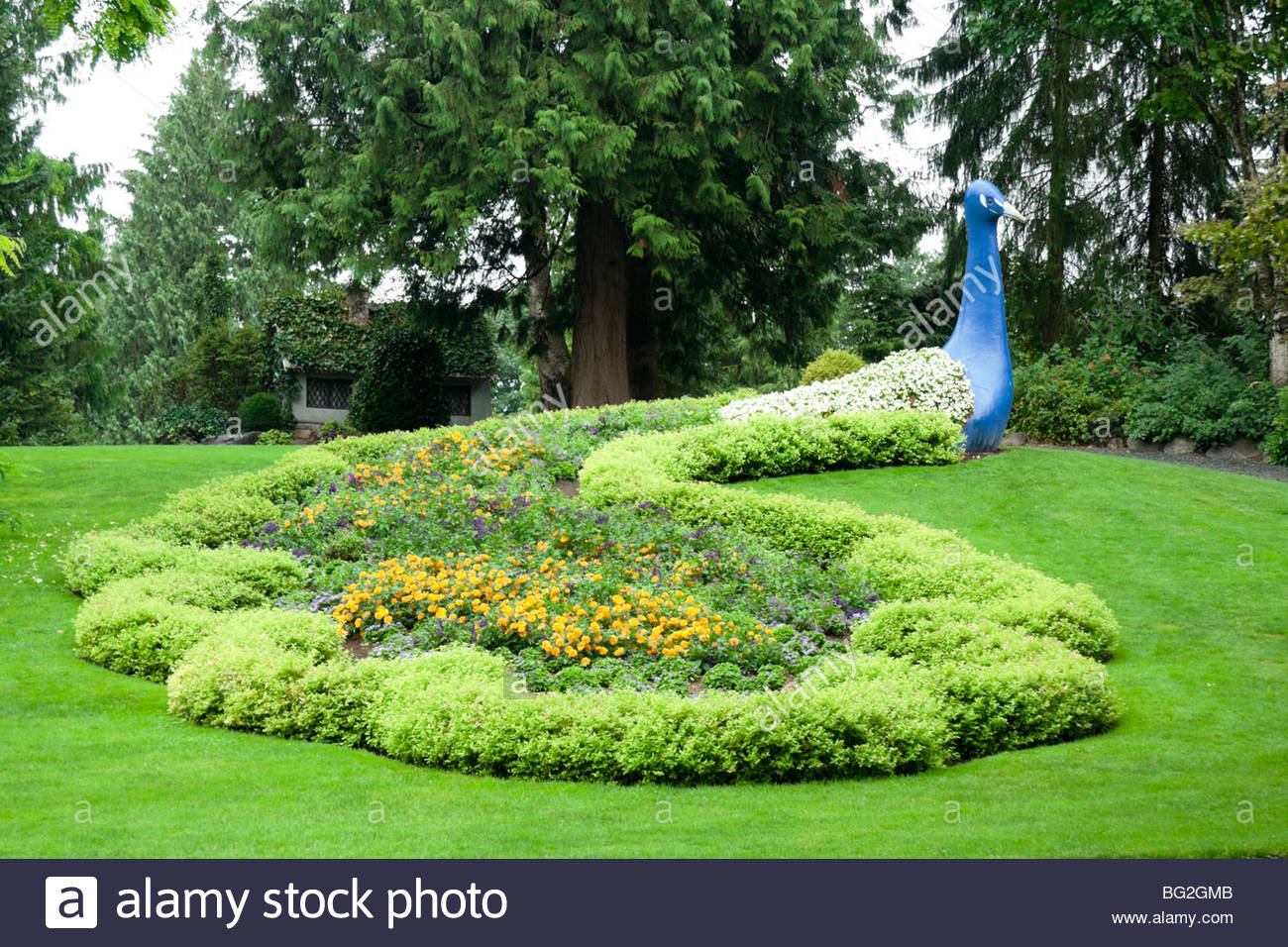 Topiary Peacock High Resolution Stock Photography and Images - Alamy