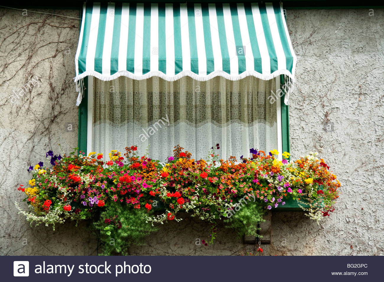 The Butchart Gardens High Resolution Stock Photography and Images - Alamy