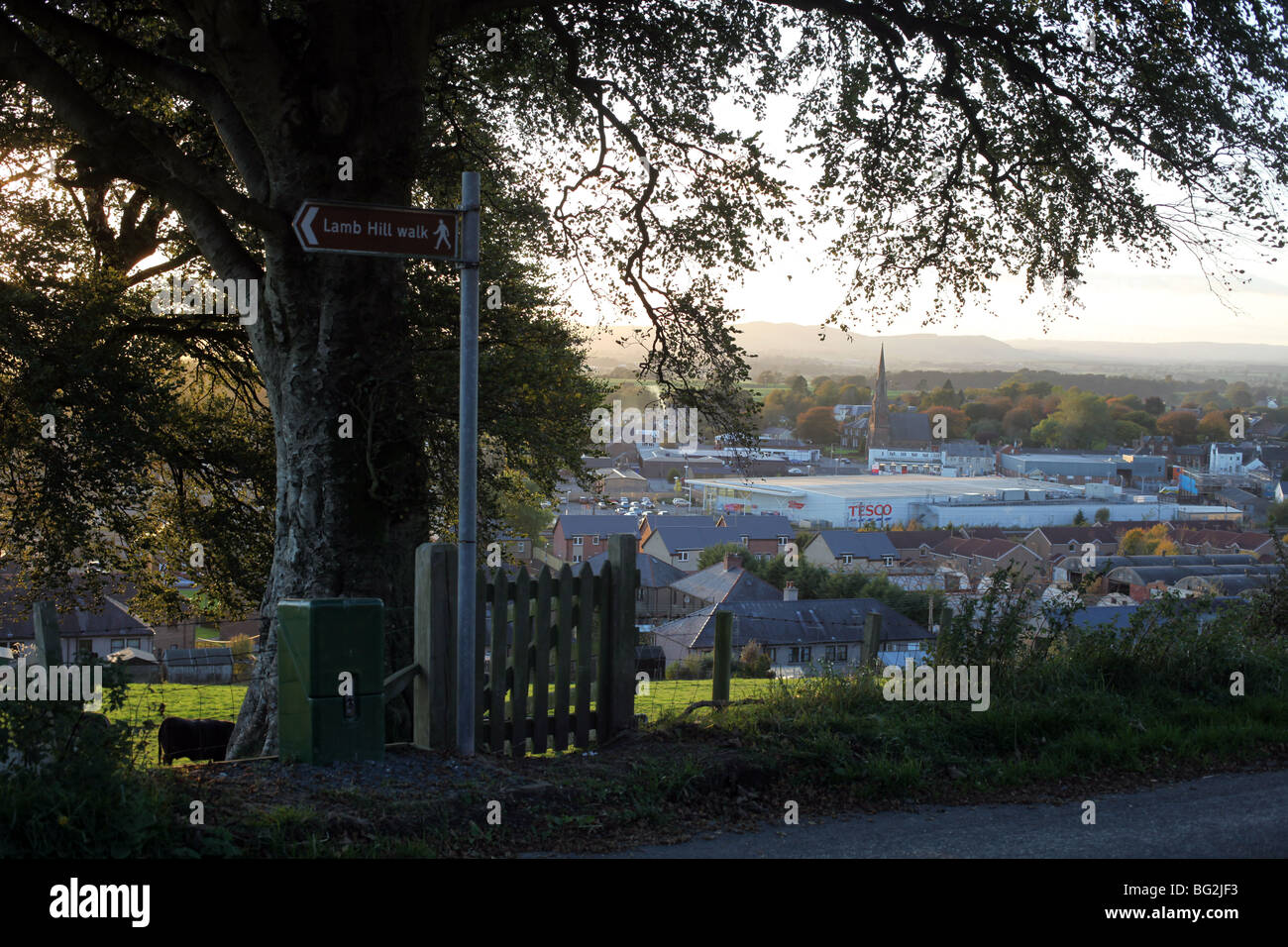 Scotland uk lockerbie tree hi-res stock photography and images - Alamy