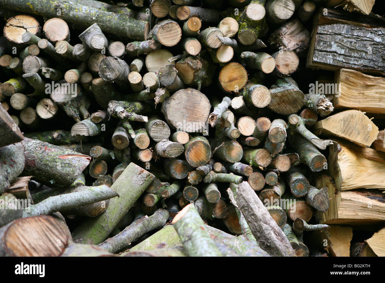 Firewood Stacked Up High Resolution Stock Photography and Images - Alamy