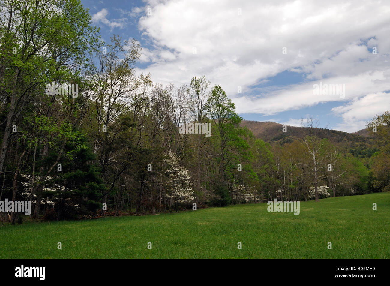 early spring color colour cades cove appalachian scenery Great Smoky ...