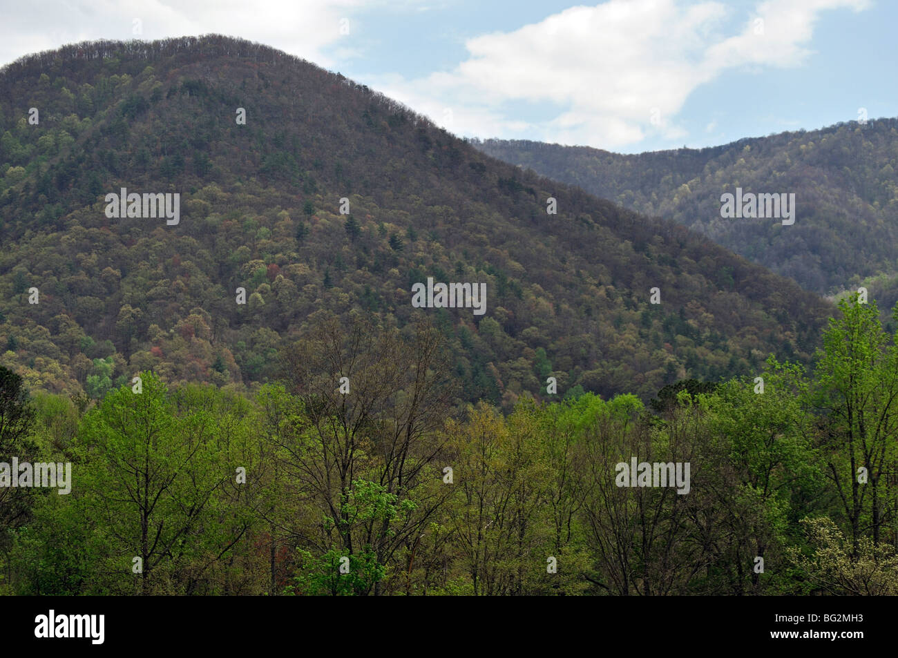 early spring color colour cades cove appalachian scenery Great Smoky ...