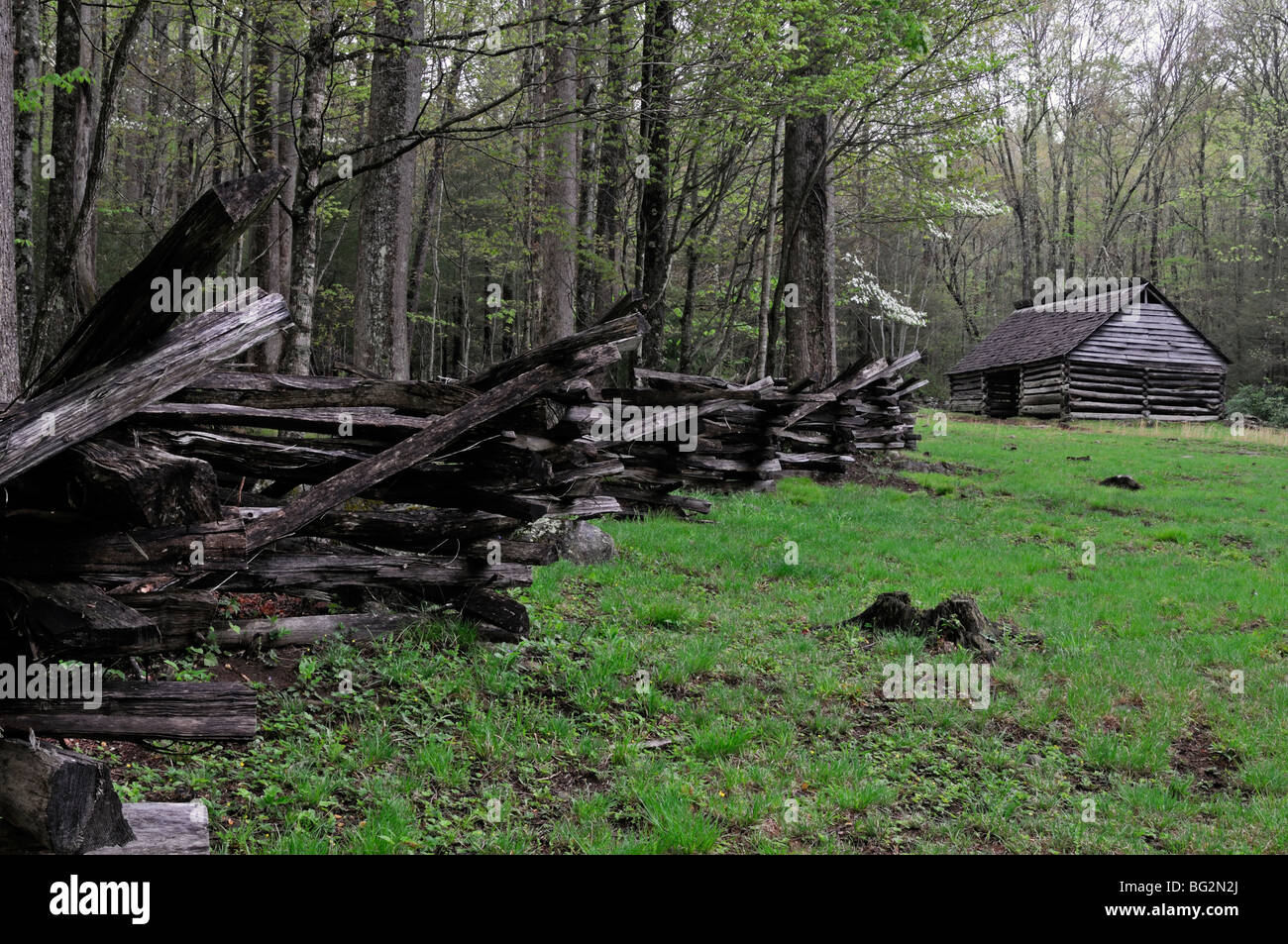 Jim Bales Place on the Roaring Fork Motor Nature Trail spring white ...
