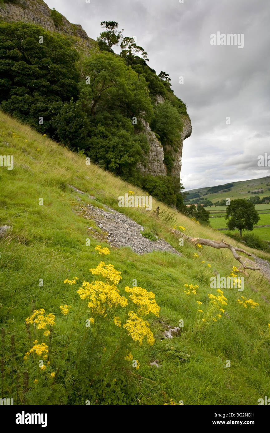 Kilnsey Crag, and overhanging cliff face popular with climbers ...