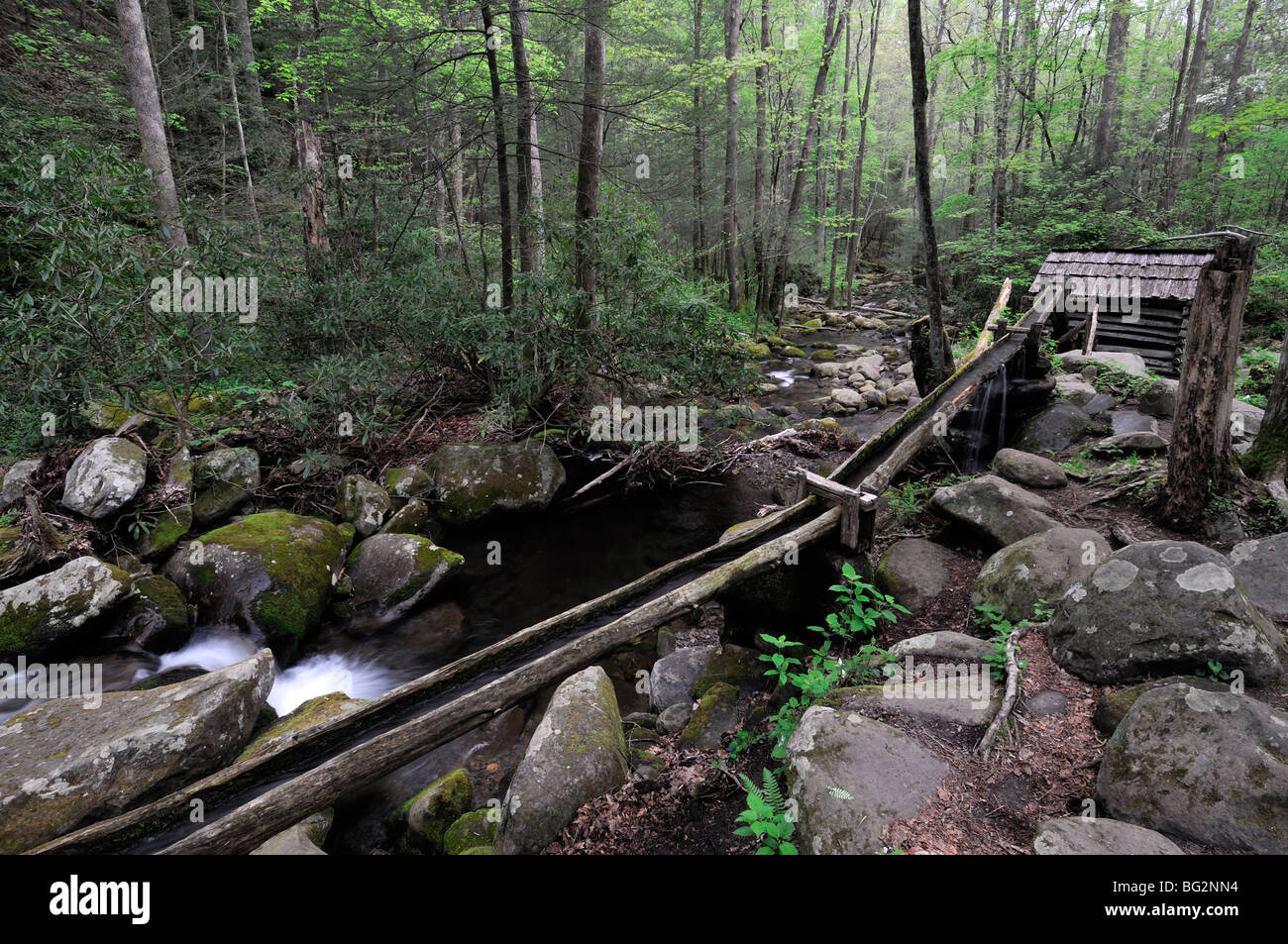 Noah Bud Ogle place hollowed-log flume divert water flow to tub mill ...