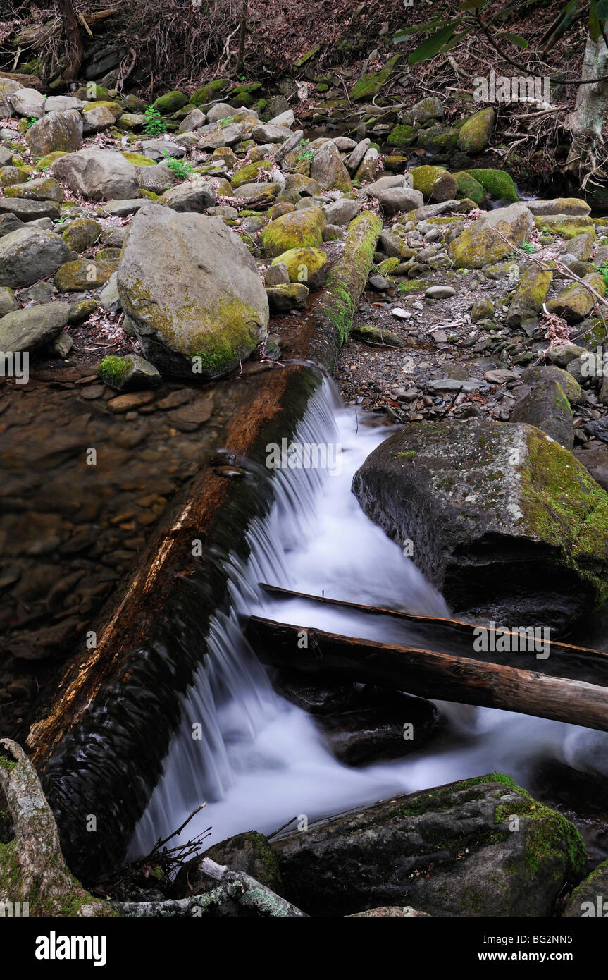 Noah Bud Ogle place hollowed-log flume divert water flow to tub mill ...