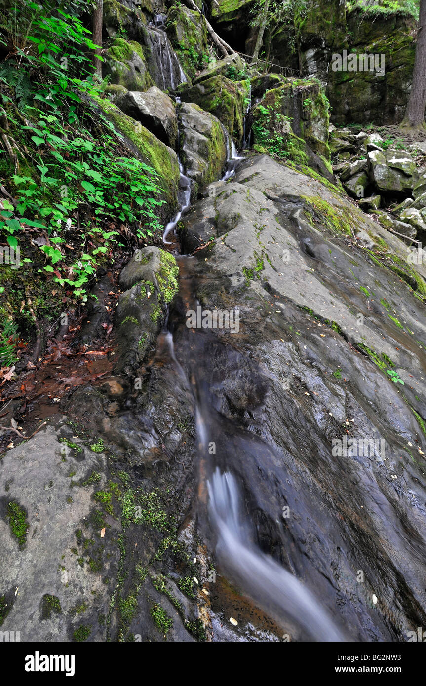Appalachian Mountains spring greenery great smoky mountains national ...