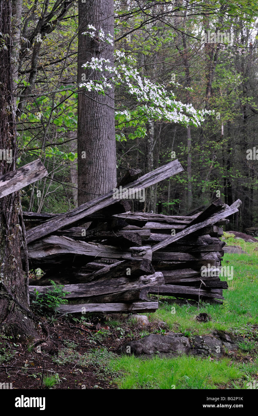 Jim Bales Place on the Roaring Fork Motor Nature Trail spring white ...