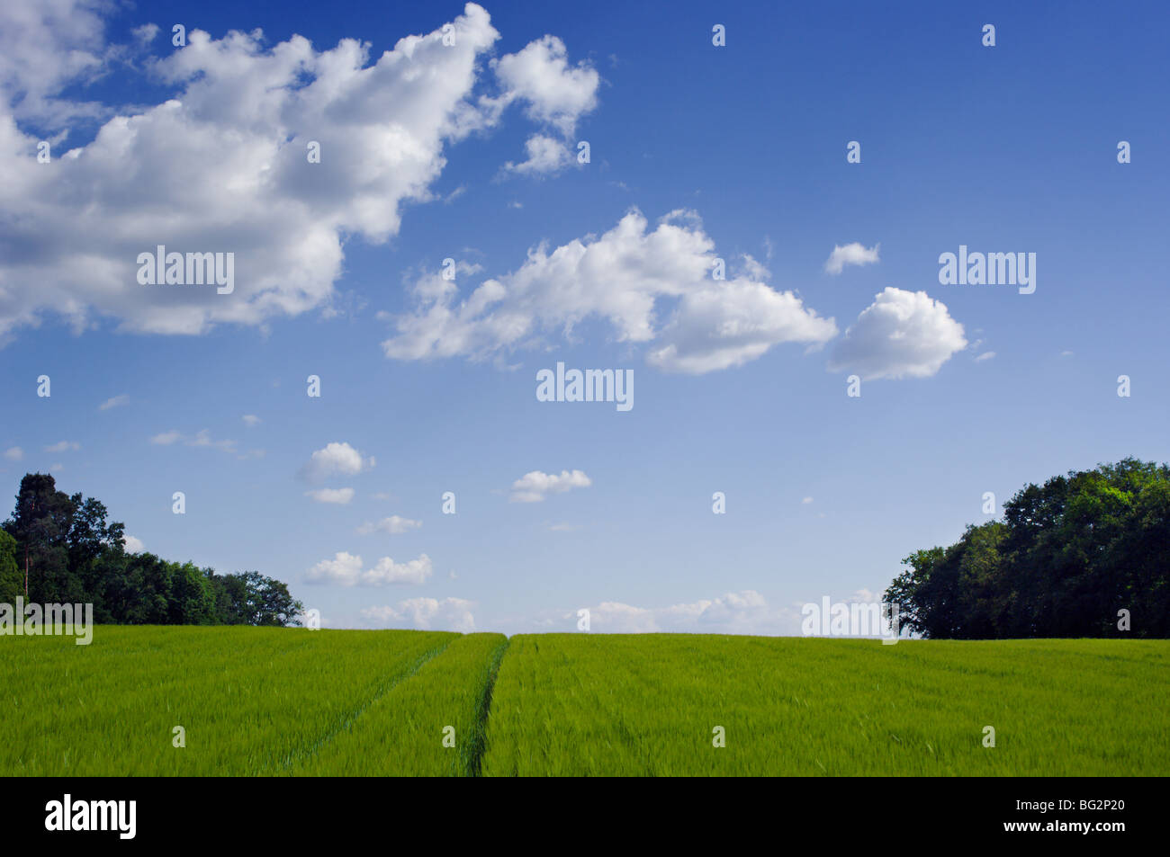 green field with blue sky Stock Photo - Alamy