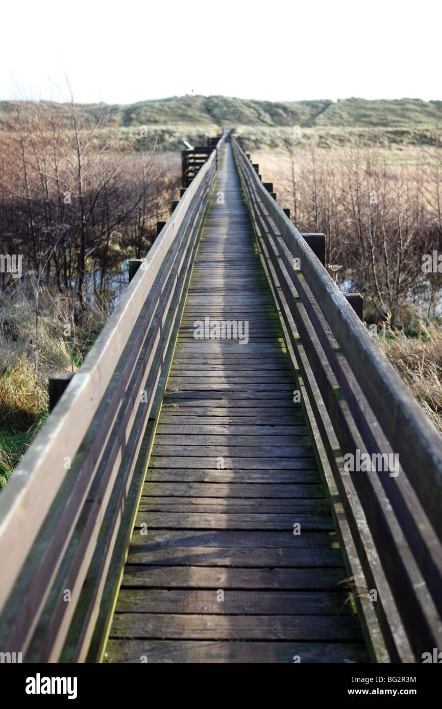 Wooden walkway above marsh hi-res stock photography and images - Alamy