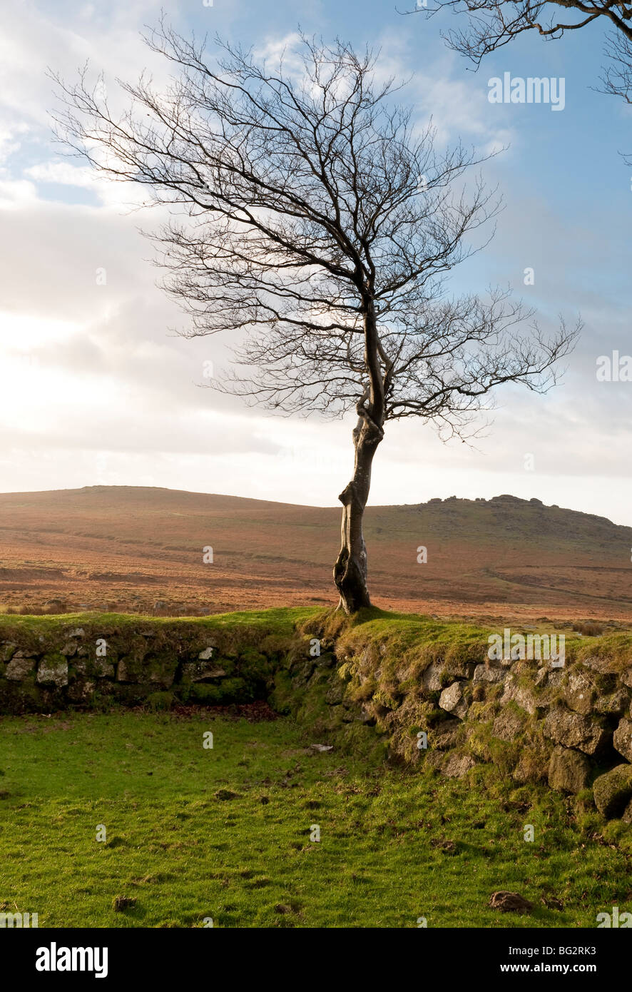 Black a tor hi-res stock photography and images - Alamy