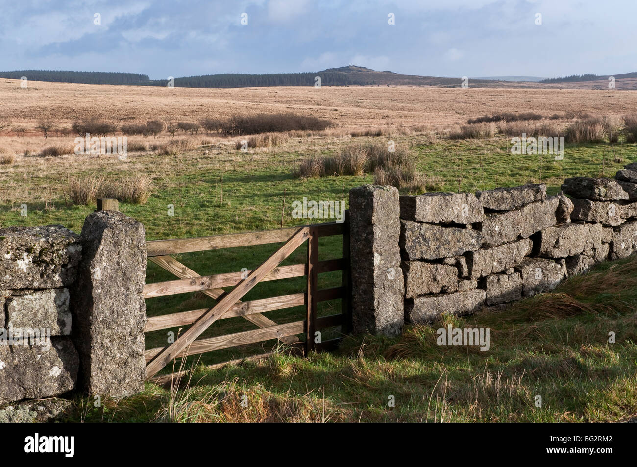 Granite wall and gate. Dartmoor Devon near Princetown Stock Photo - Alamy