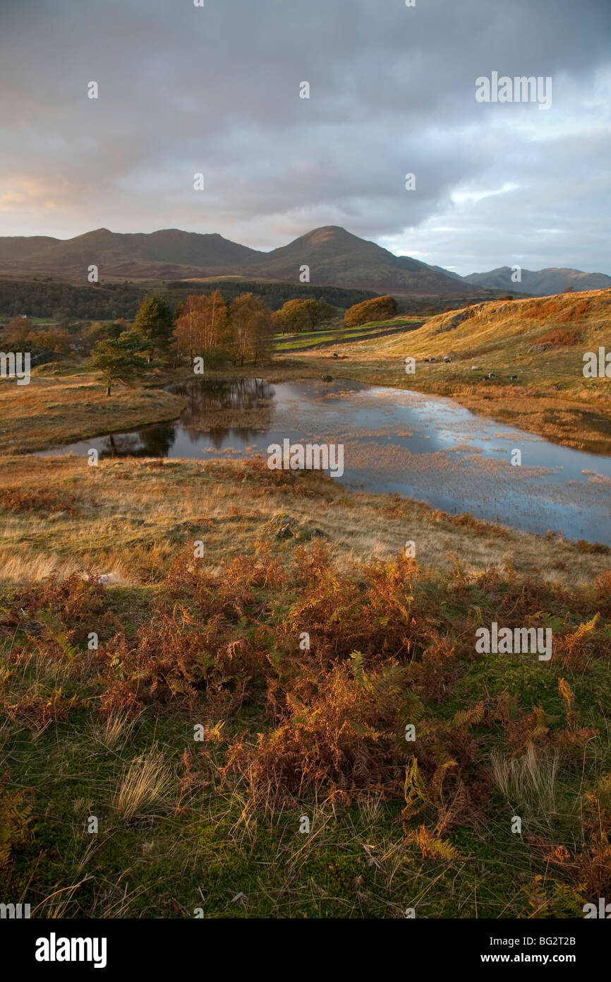 Kelly Hall Tarn on Torver Common in the English Lake District with ...