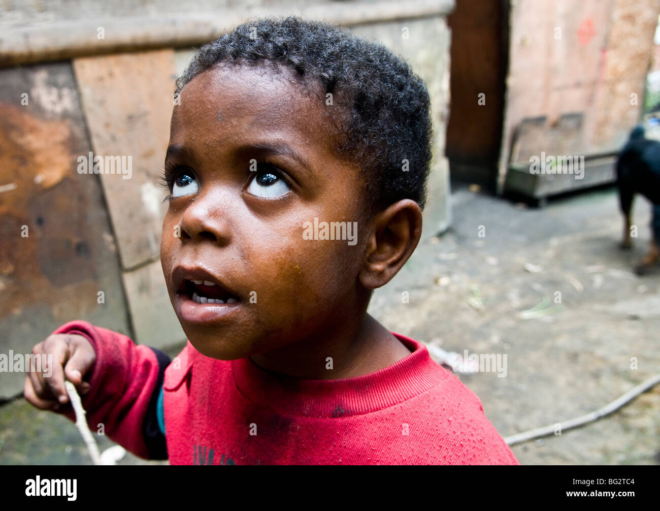 Brazil matters hi-res stock photography and images - Alamy