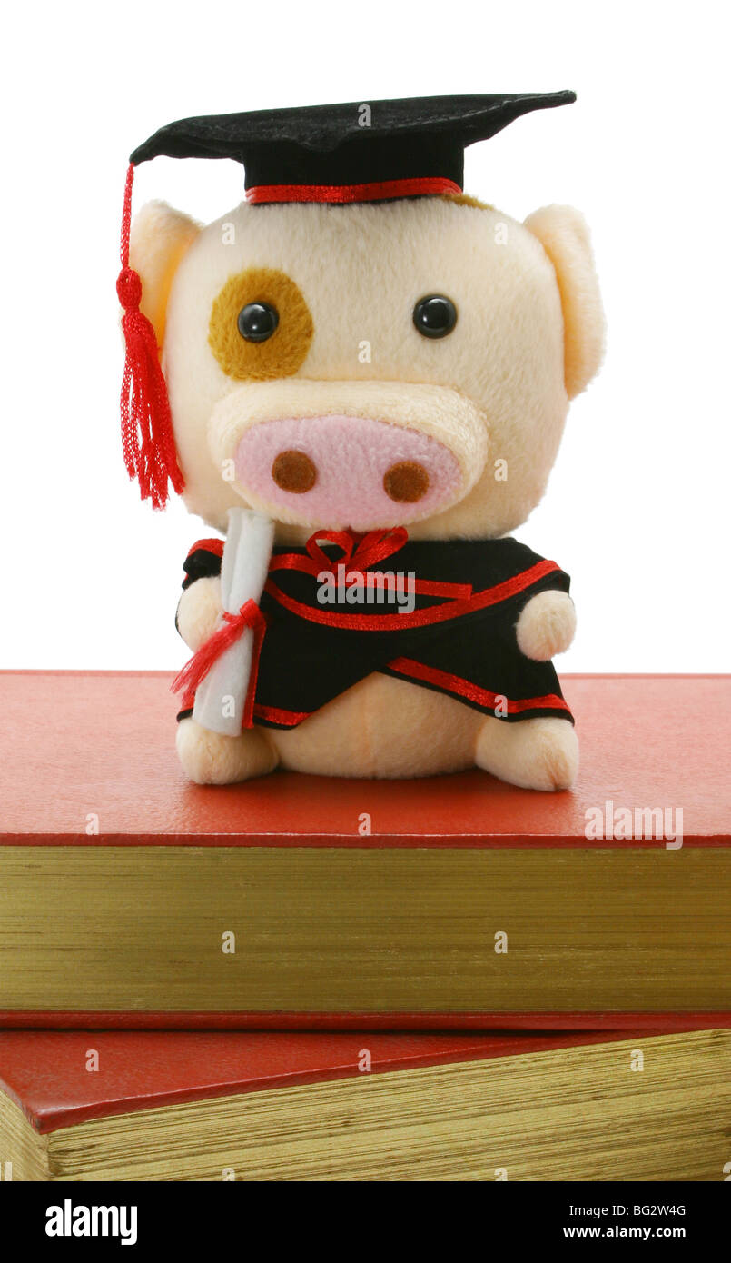 Piggy in graduation gown sitting on dictionary or encyclopedia Stock ...