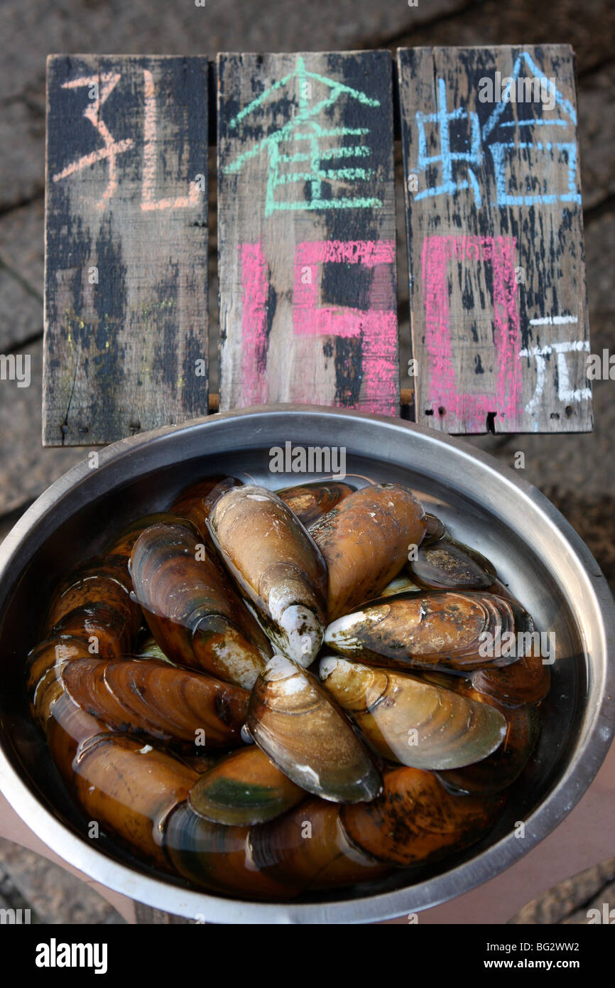 mussels to sell in Taiwan Stock Photo - Alamy