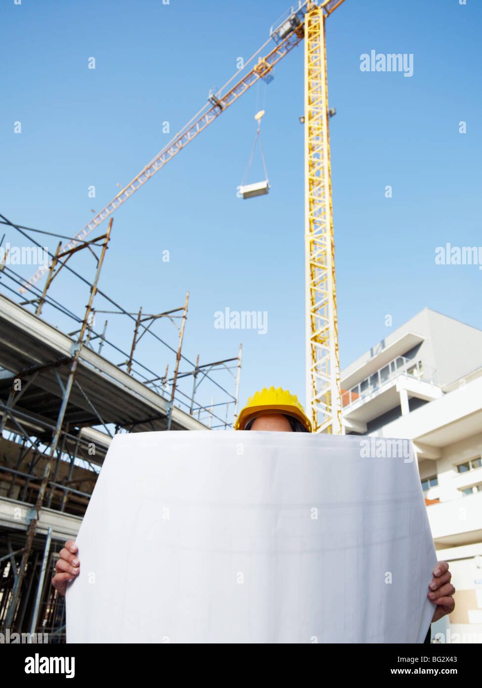 cropped view of female engineer reading blueprints Stock Photo - Alamy