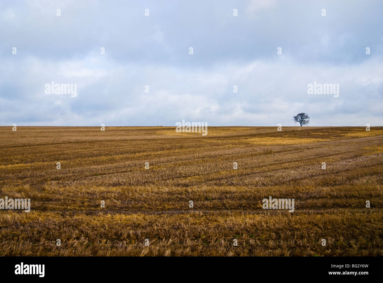Field english hi-res stock photography and images - Alamy