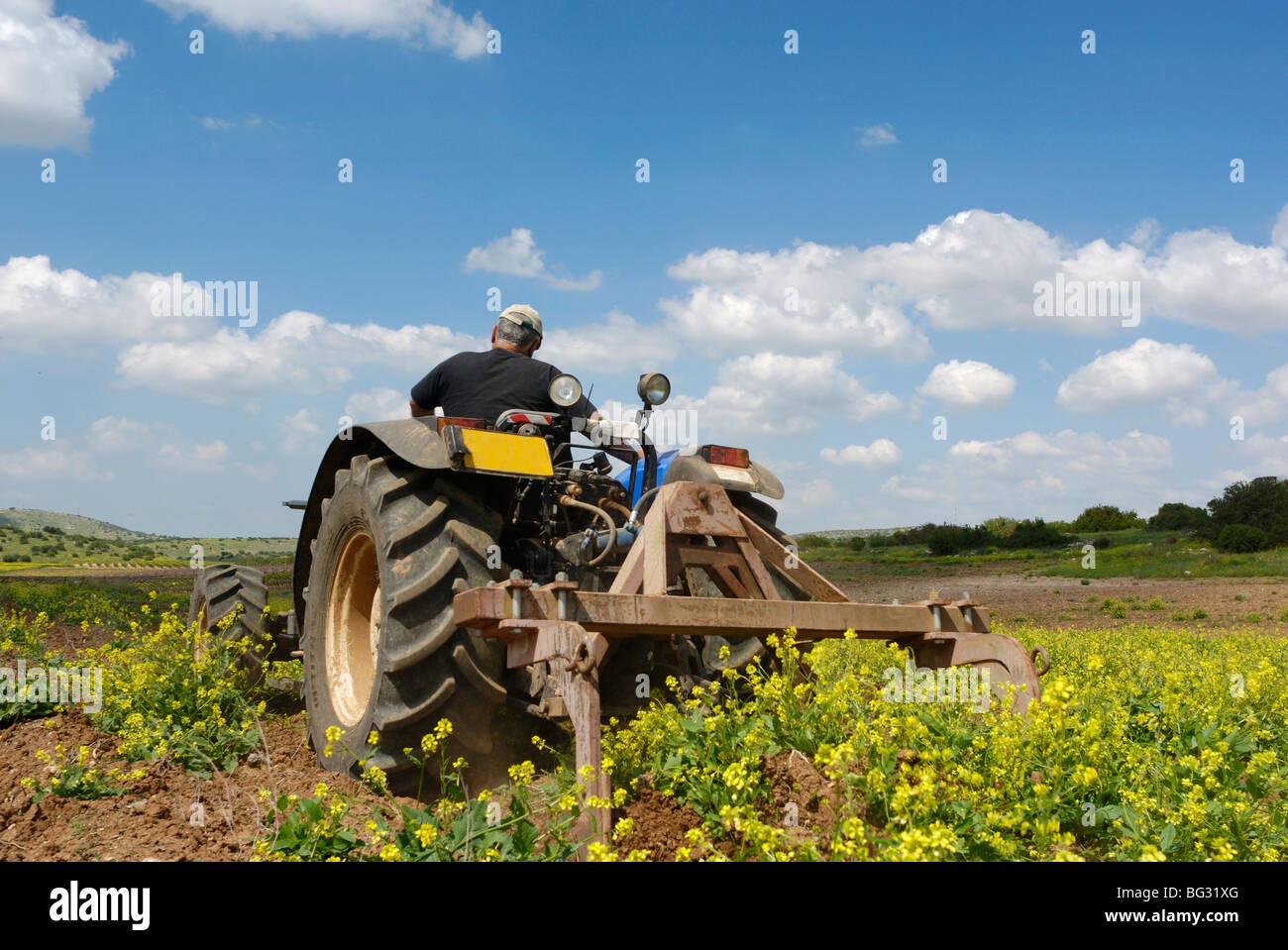 Israel, Negev Desert, Tractor ploughs a field Stock Photo - Alamy