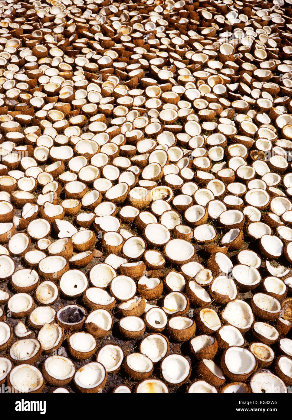 Drying copra hi-res stock photography and images - Alamy