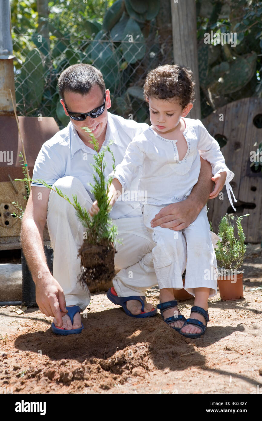 Father and son planting a tree Stock Photo - Alamy