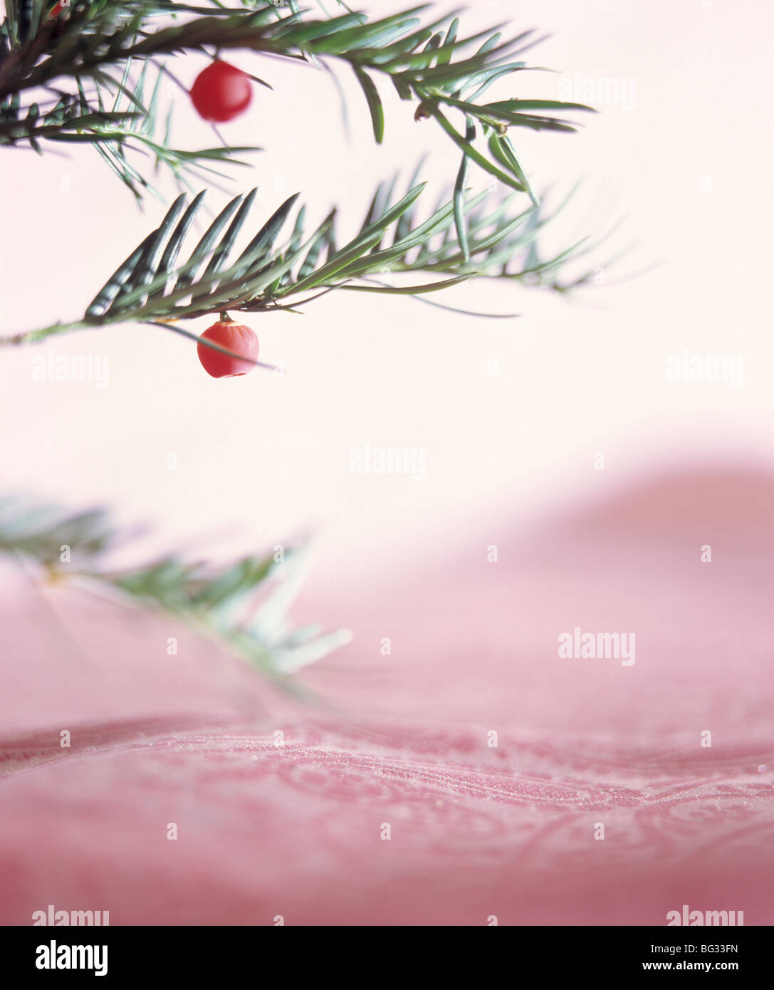 Christmas decoration yew tree branch hi-res stock photography and ...