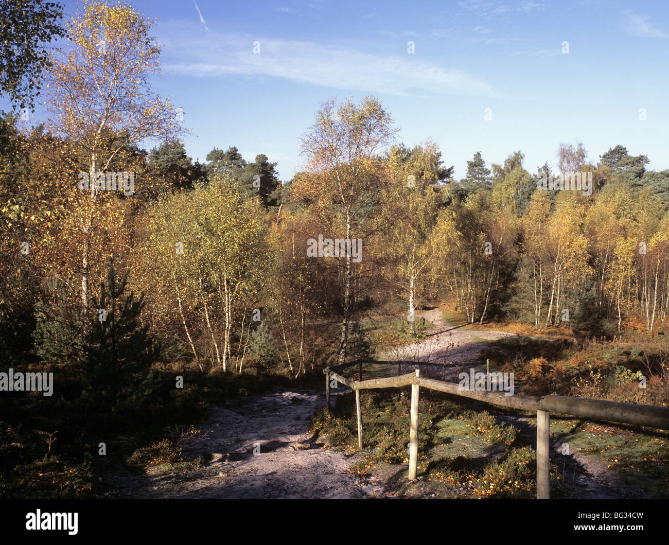 Farnham common nature reserve hi-res stock photography and images - Alamy