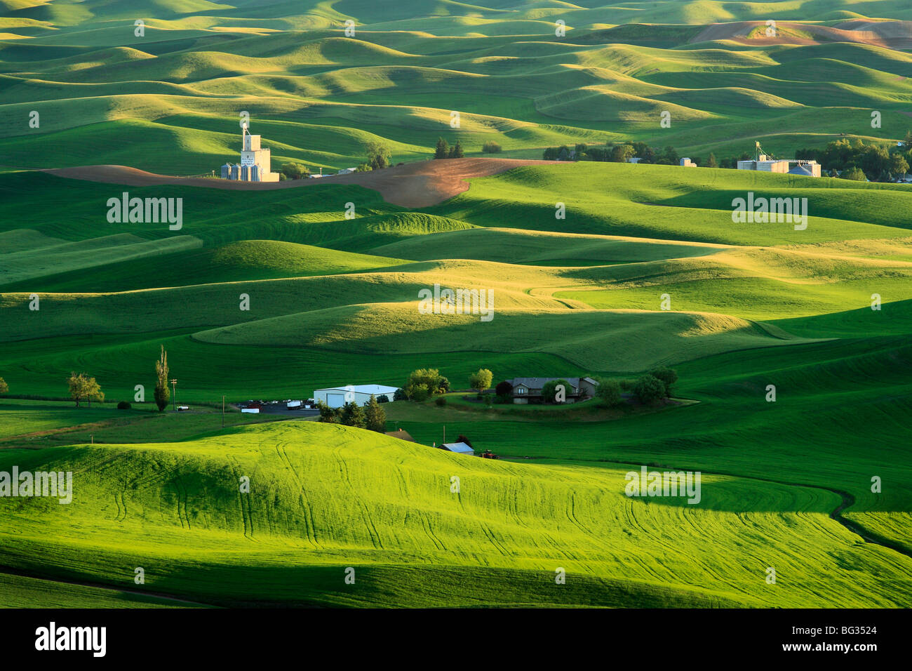 Farm fields from Steptoe Butte in the Palouse region of eastern ...