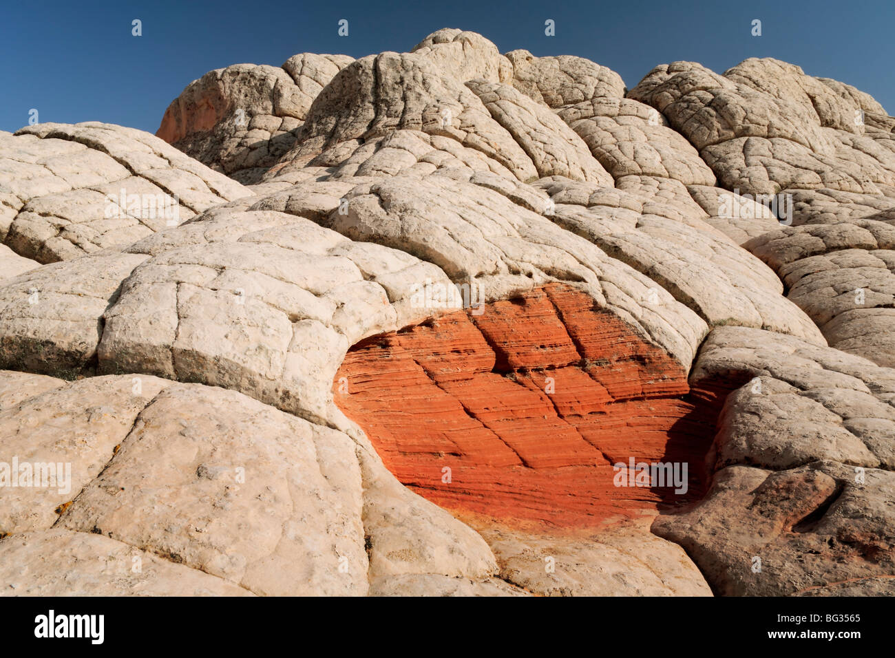 "Brain" sandstone rock formations at "White Pocket" in Vermilion Cliffs ...
