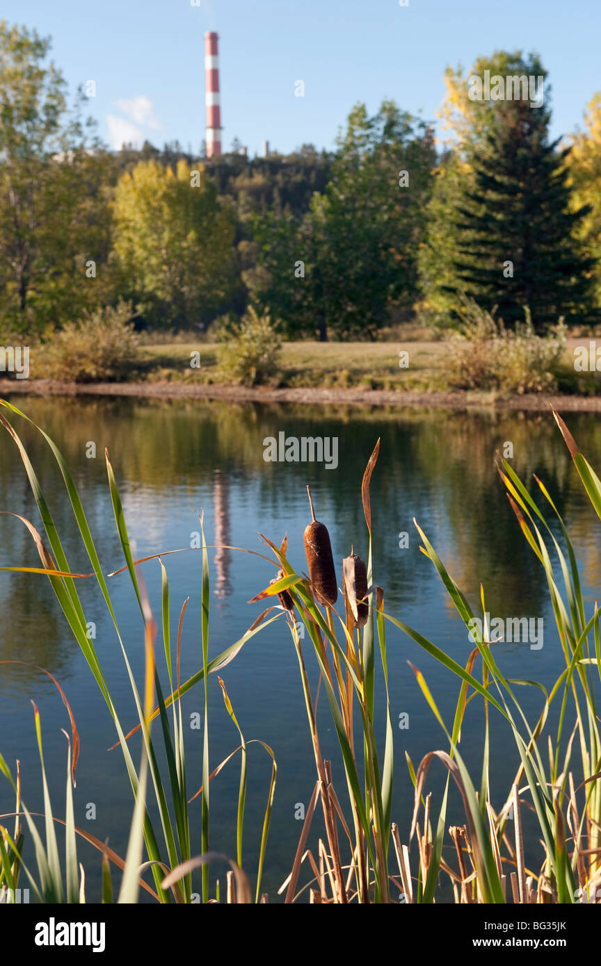 Rundle park edmonton hi-res stock photography and images - Alamy