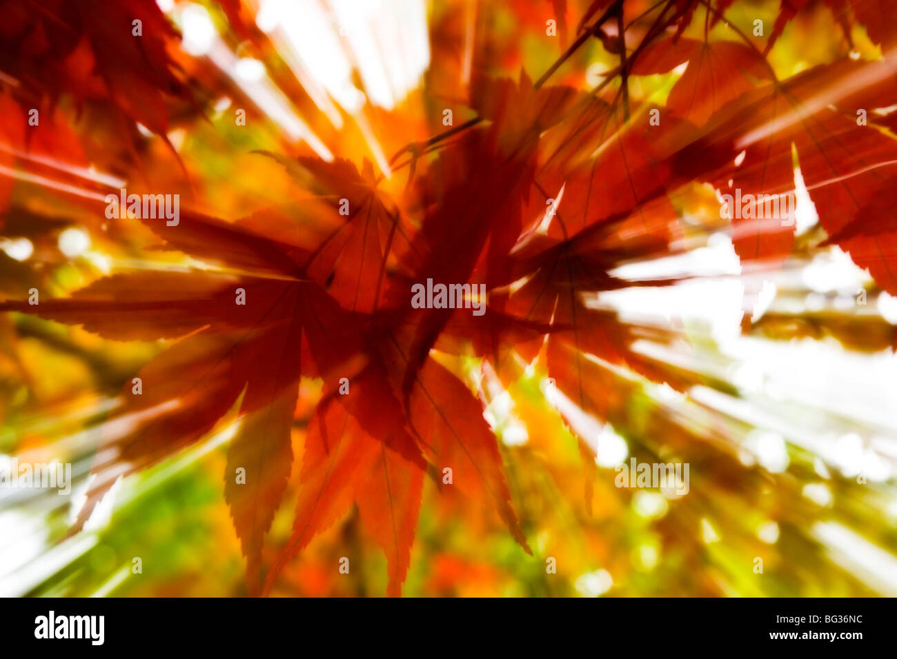 Zoom zooming hi-res stock photography and images - Alamy